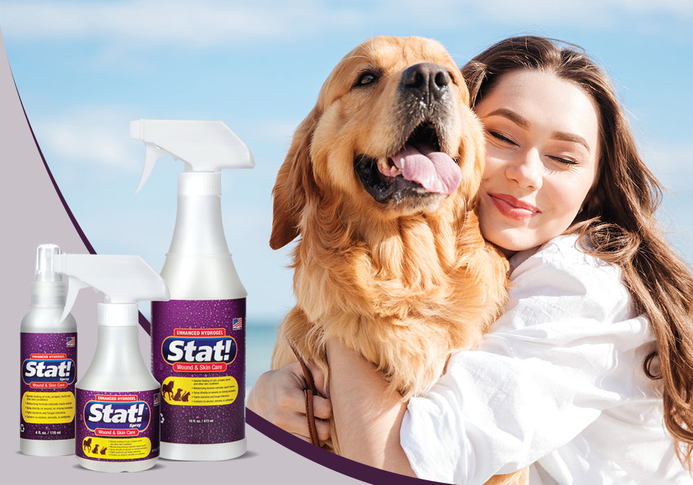 Non-Toxic Pet First Aid Spray | Hydro-Stat! Spray